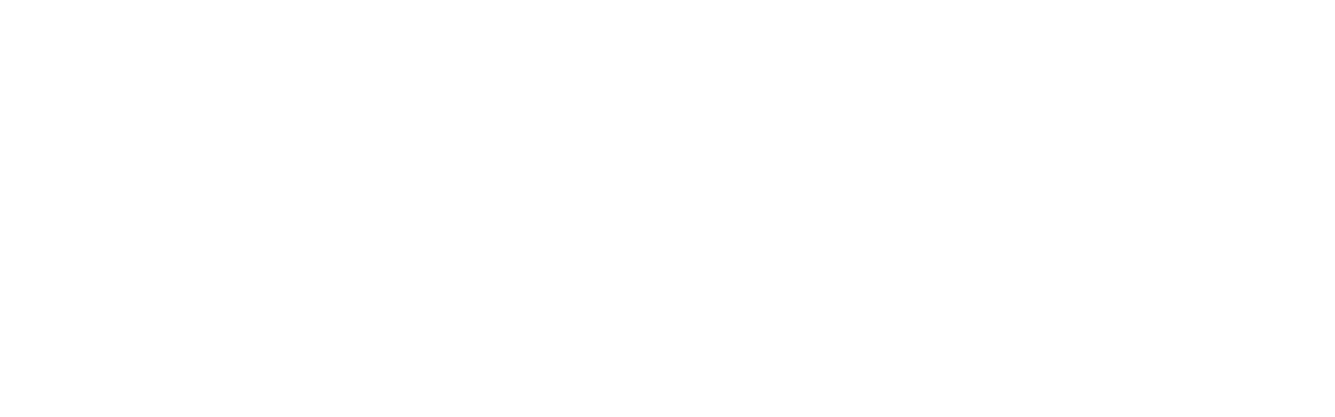 Veloz IT | Corporate Website